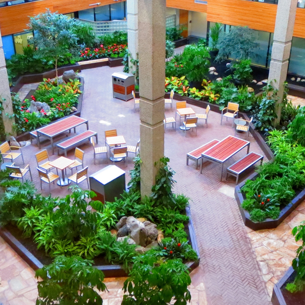 Live Interior Plants, Planters, and Greenery - Greenjeans Interiorscape