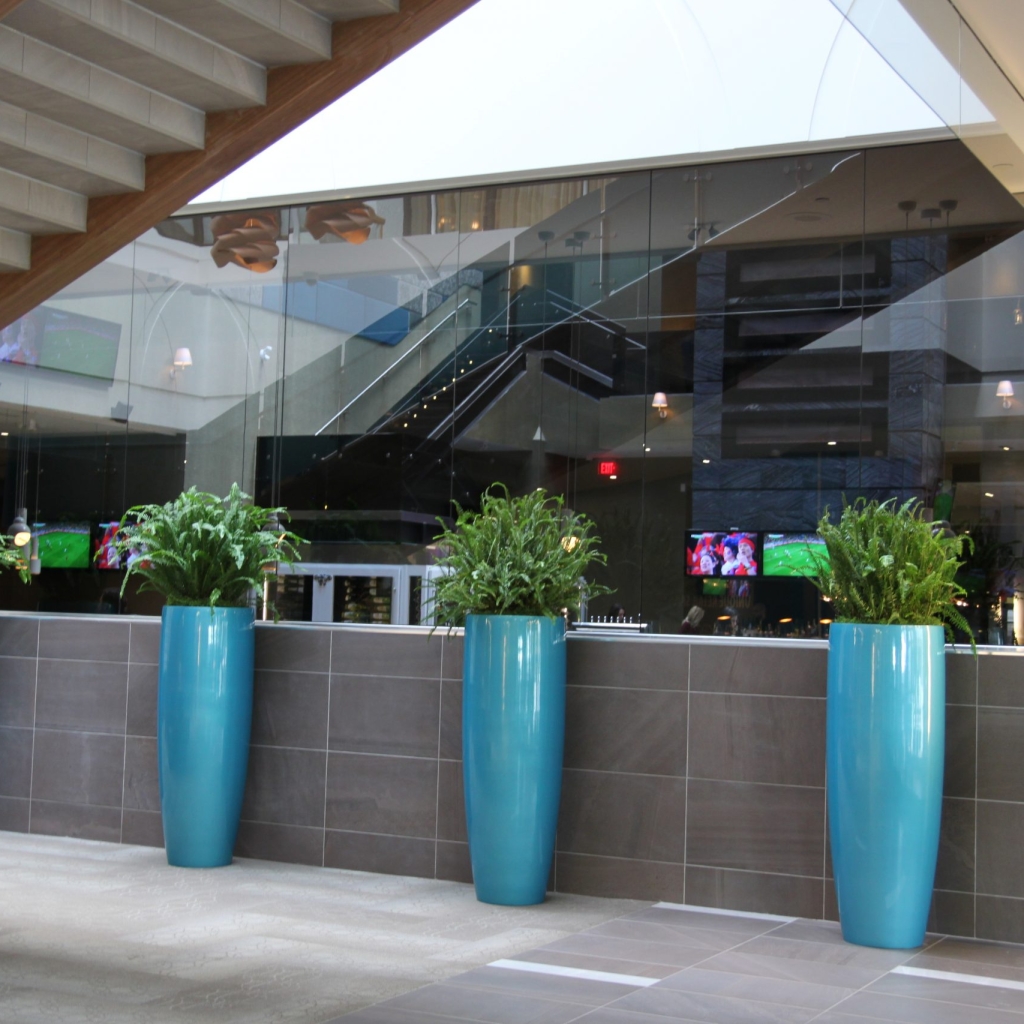 Live Interior Plants, Planters, and Greenery - Greenjeans Interiorscape